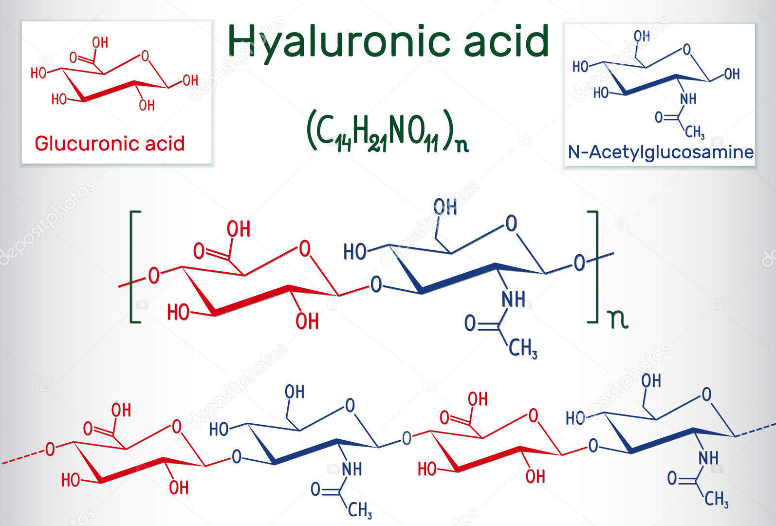 The Extracellular Matrix? You Don’t Say! - Myopain Seminars
